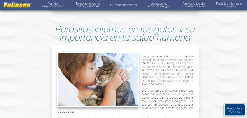 Felinex, estrena portal web ¡conózcalo! - Pet Industry