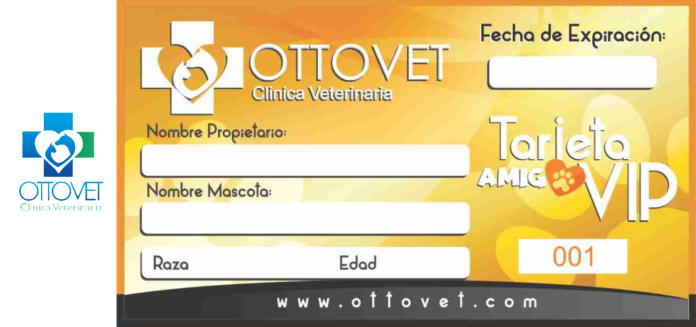 Cefalong comprimidos, la nueva cefalexina para una dosificación mas ...