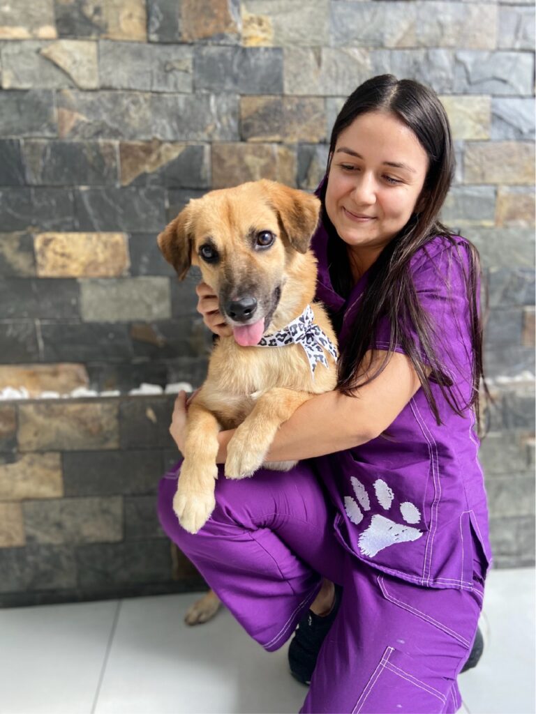 El amor que construye empresa: La historia de Animal Center - Pet Industry