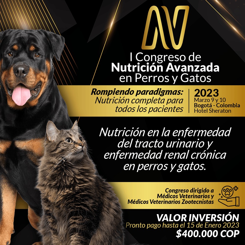 Tendencias en nutrición de animales de compañía 2023 pet industry pet ...