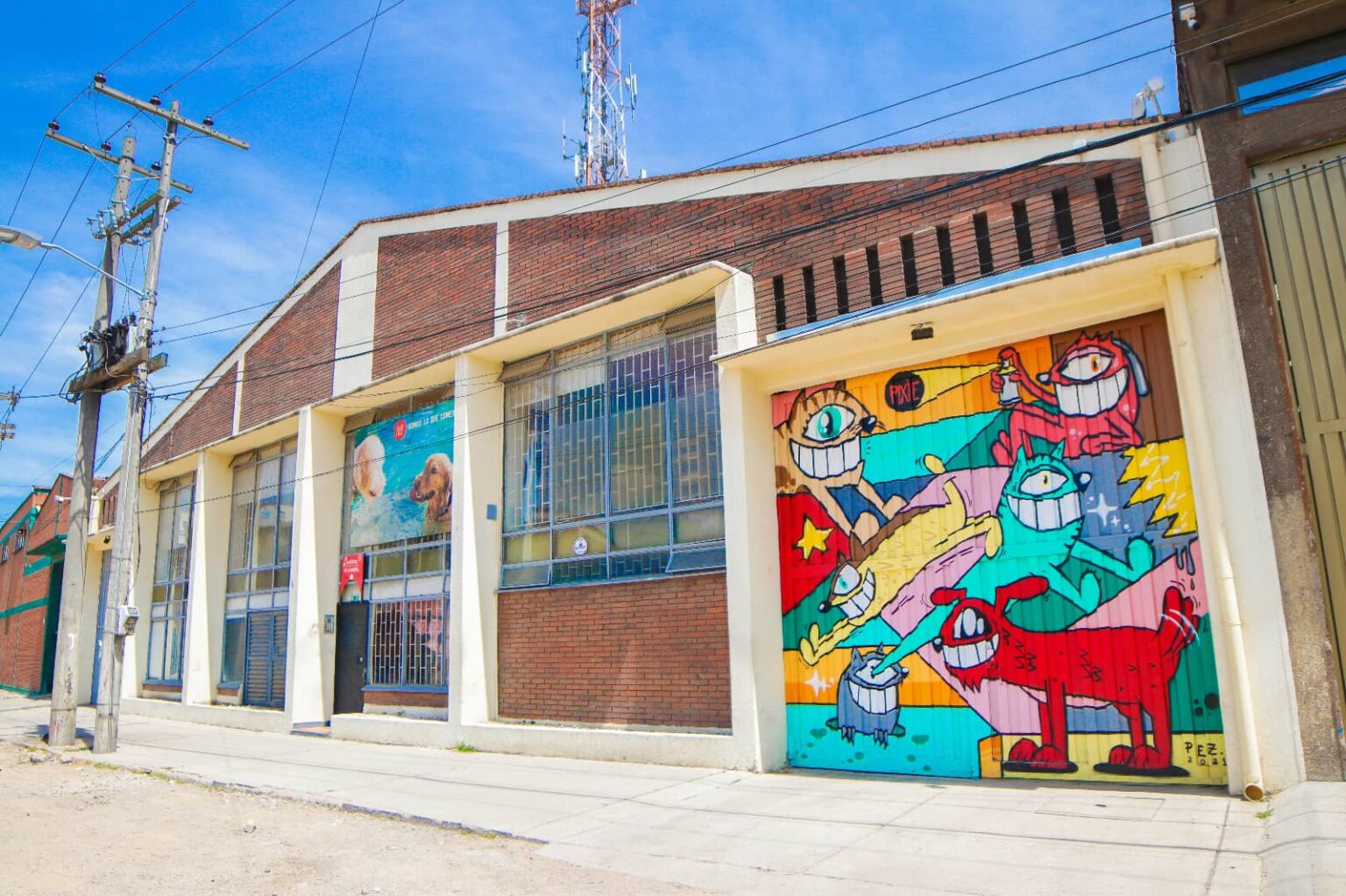 9 razones para recomendar Pixie a tus pacientes - Pet Industry