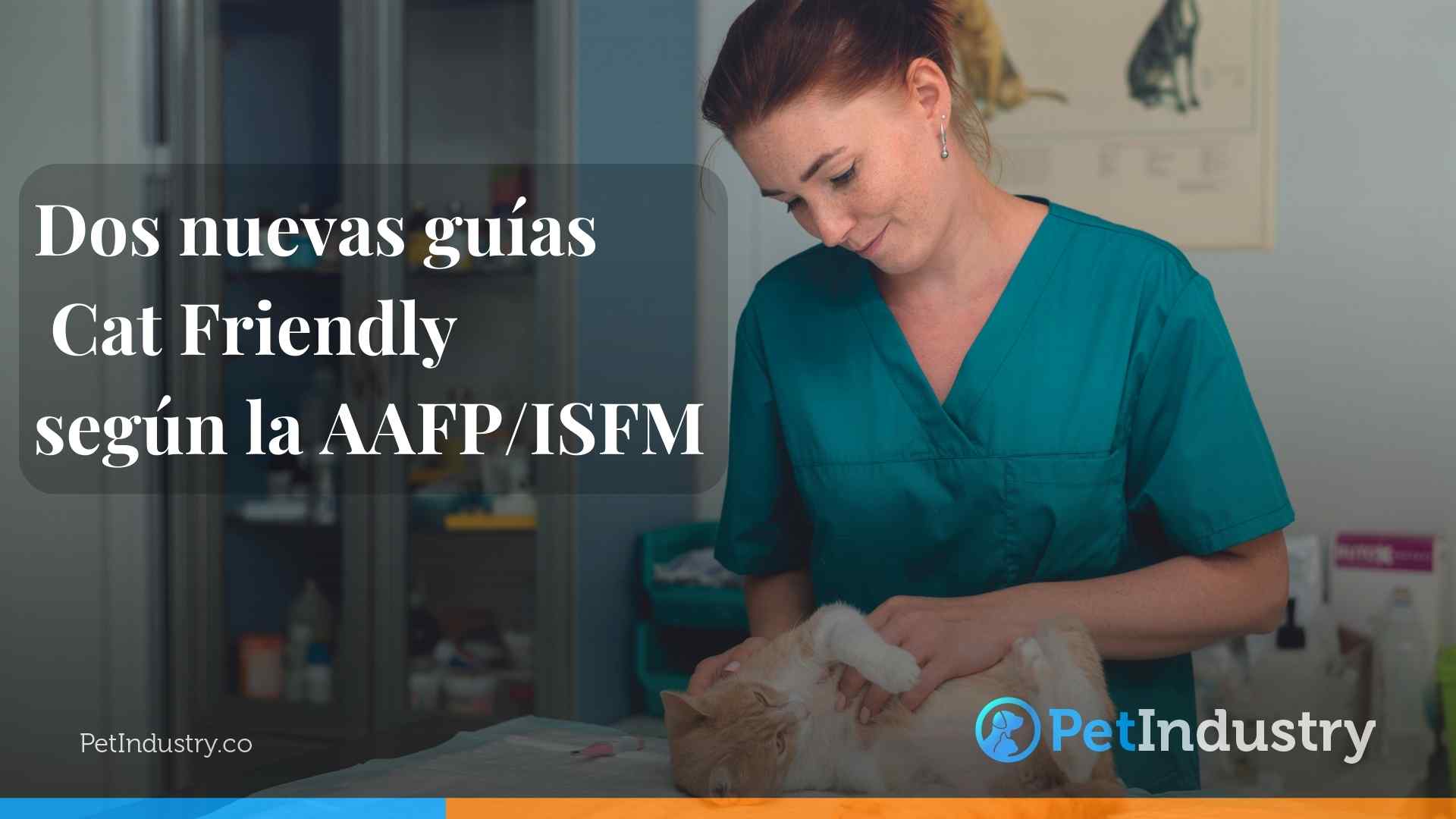 Dos nuevas guías Cat Friendly según la AAFP/ISFM - Pet Industry