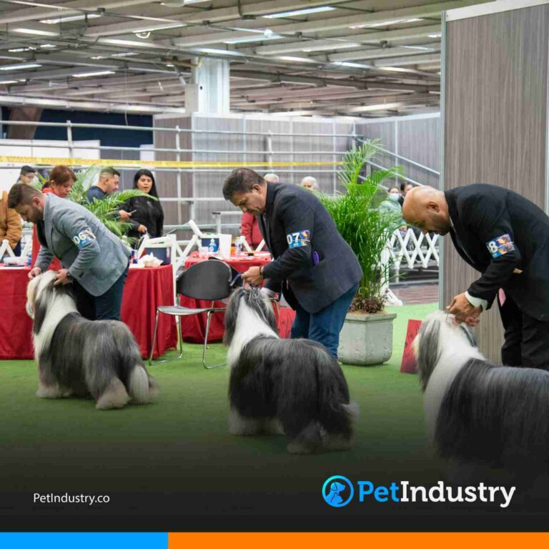 Expopet Colombia 2023: Epicentro del VIII Circuito Canino, la ...