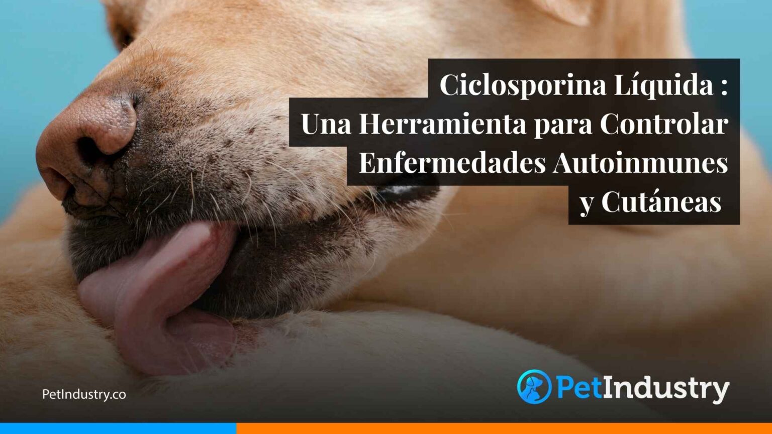 Cyclavance®: Ciclosporina Líquida para el Tratamiento de Dermatopatías Alérgicas en Perros y ...