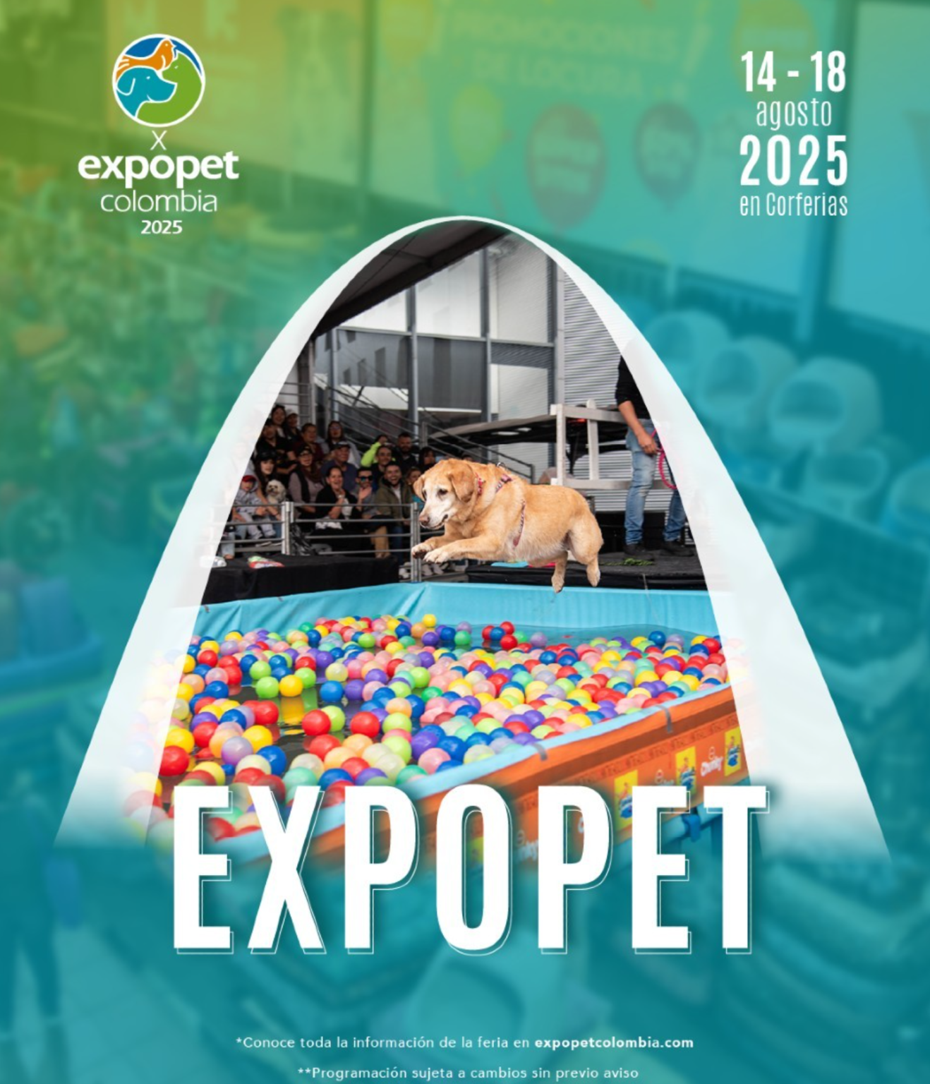 Cefalong comprimidos, la nueva cefalexina para una dosificación mas ...