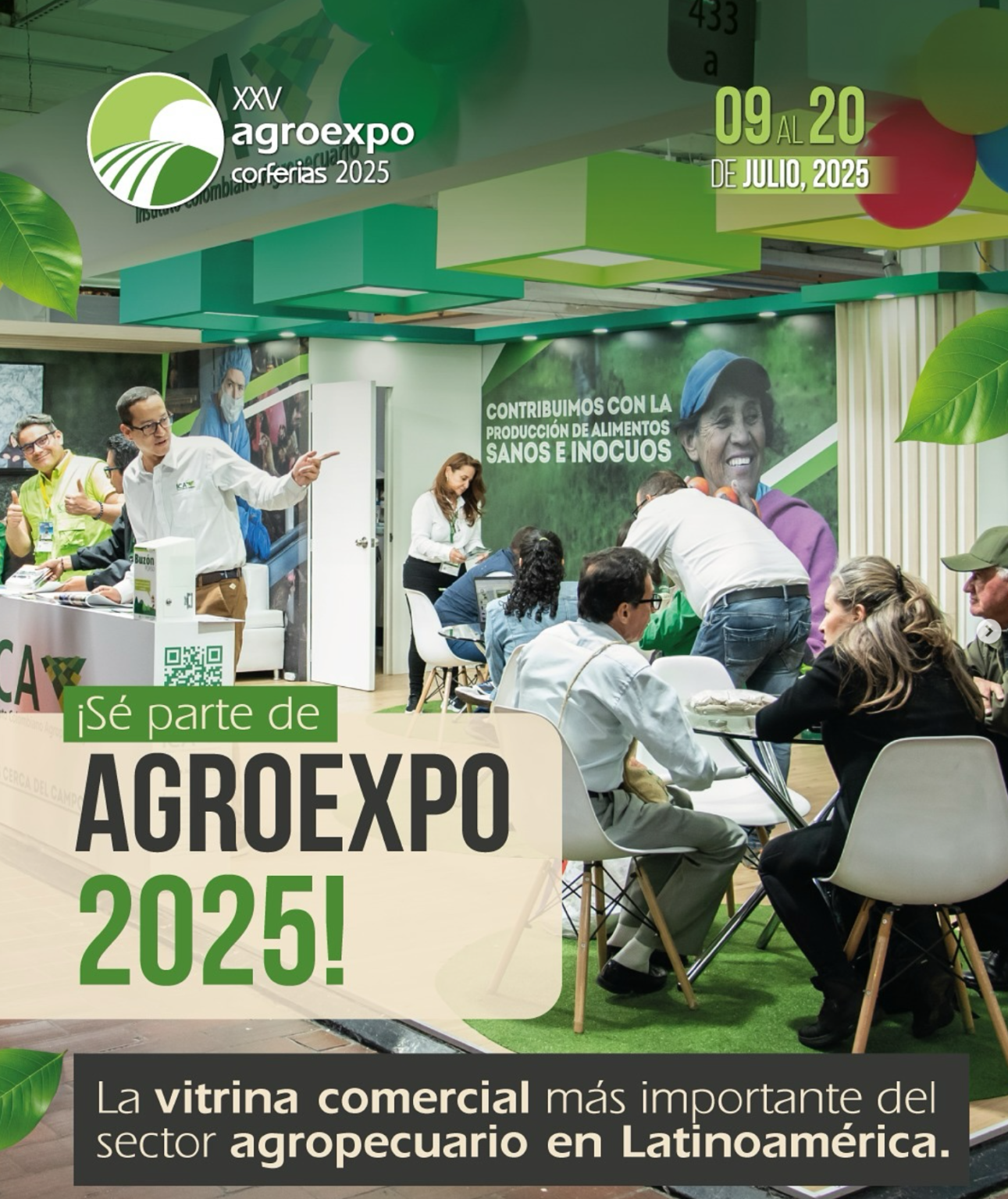 Cómo crear el perfecto pom-pom de cola en un caniche: guía paso a paso ...