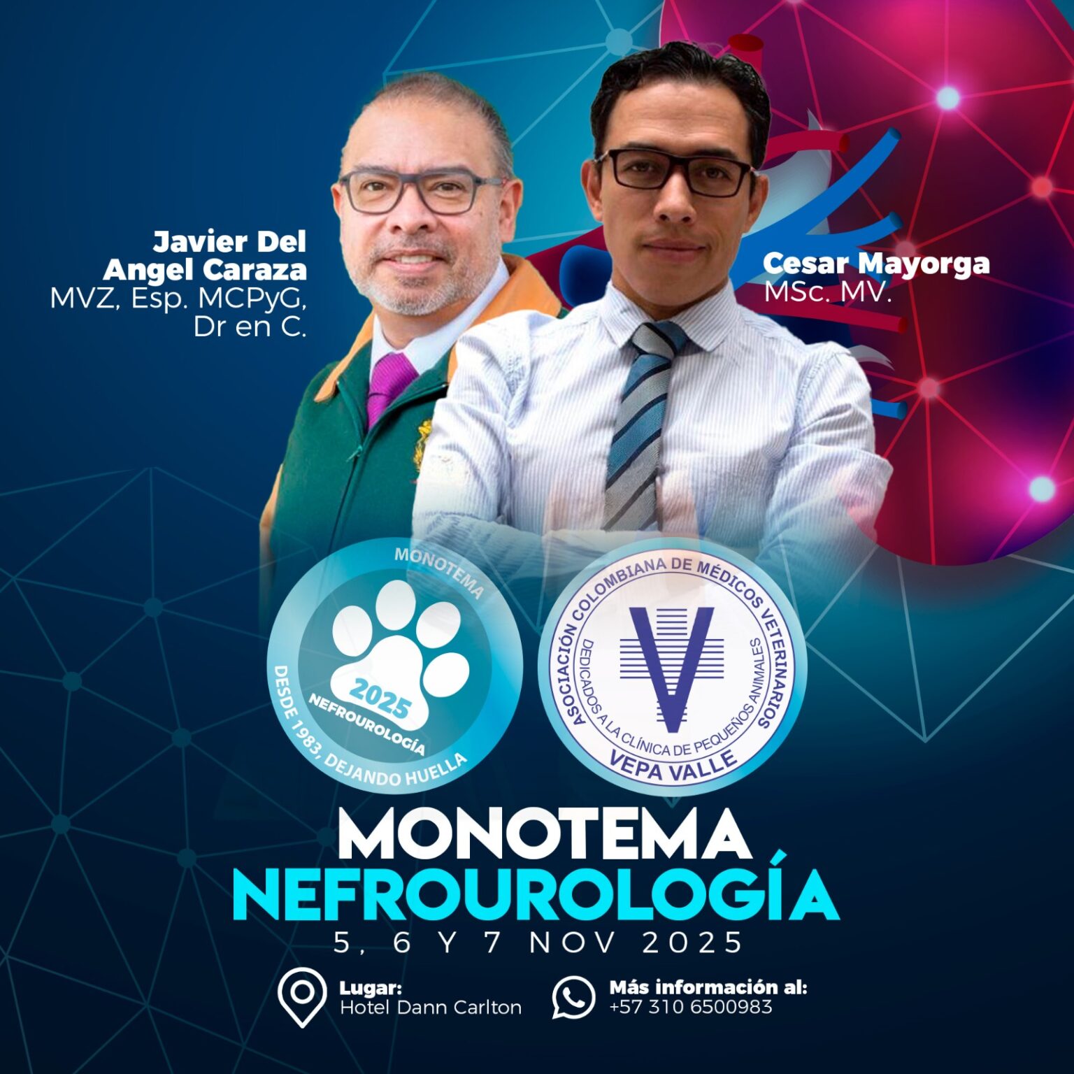 Cefalong comprimidos, la nueva cefalexina para una dosificación mas ...