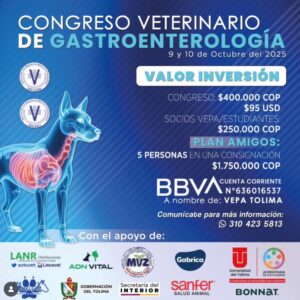 Cefalong comprimidos, la nueva cefalexina para una dosificación mas ...